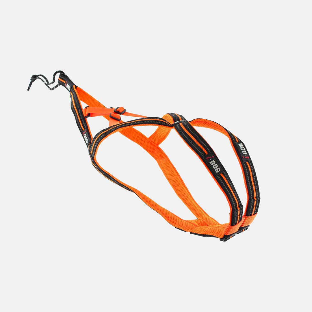 CANICROSS ONE HARNESS – Raidlight